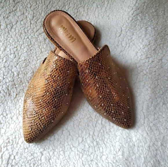 Mi.iM | Shoes | Miim Daisy Mule Beige Snake Print New | Poshmark